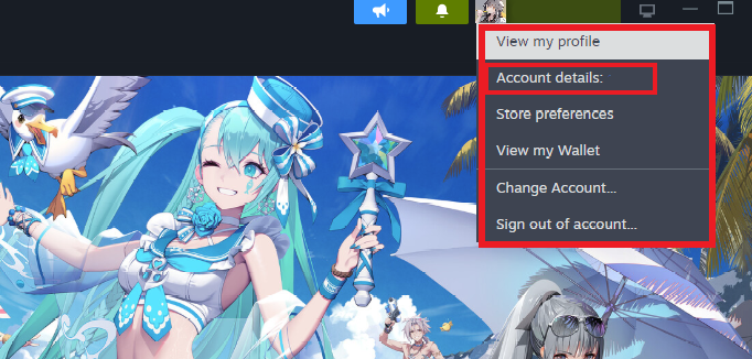 How do I check my Steam ID? – Help Center